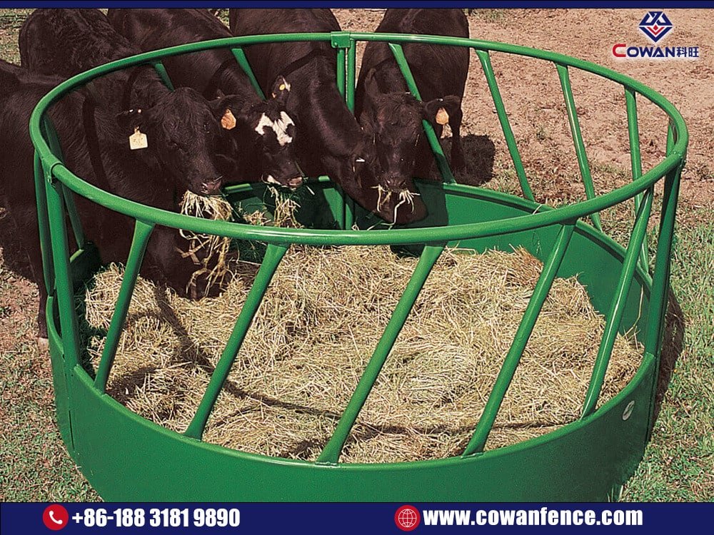 7+ Best Unique Hay Feeder Design for Your Cattle